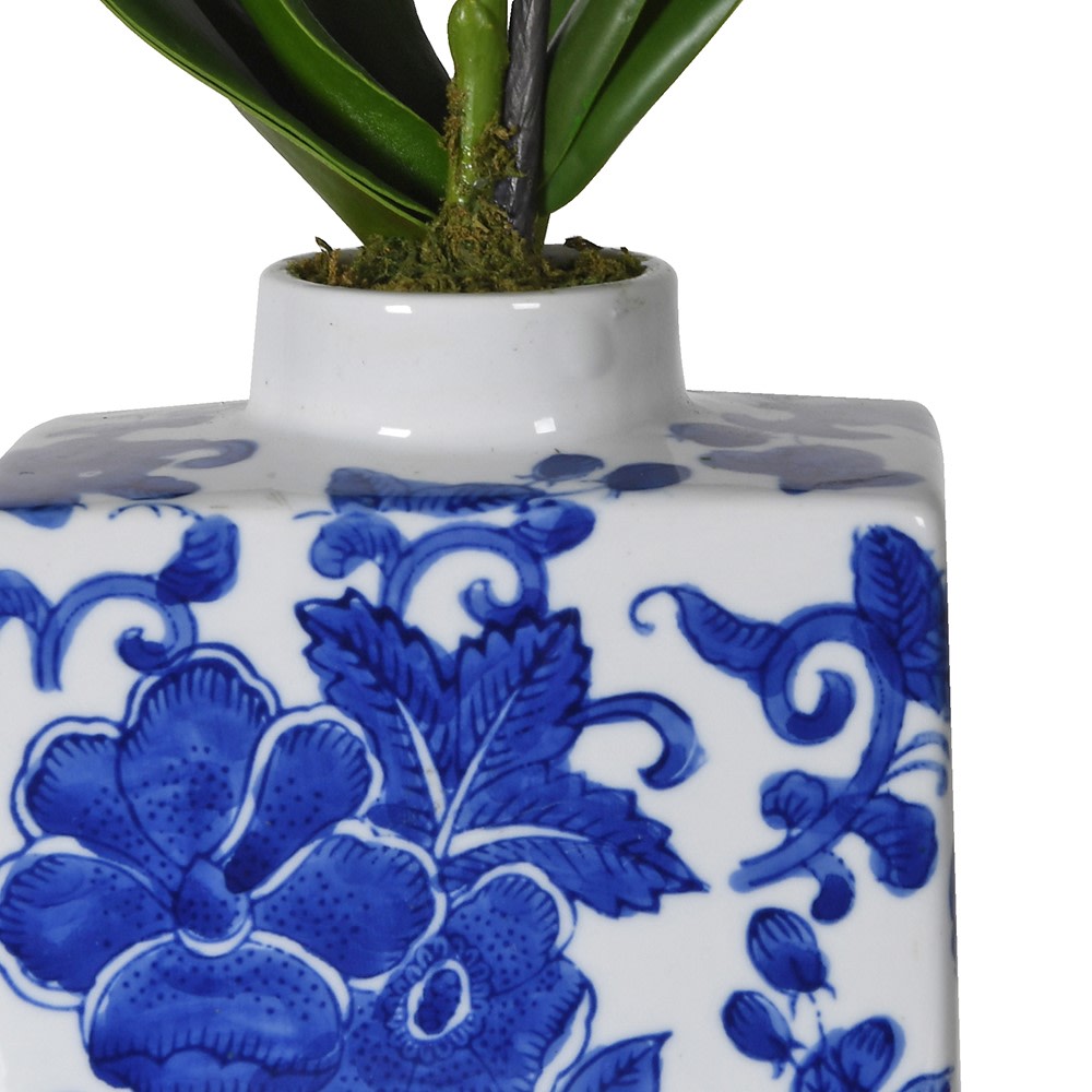 Faux White Orchid in Blue and White Ceramic Vase Elegant Home Décor ...